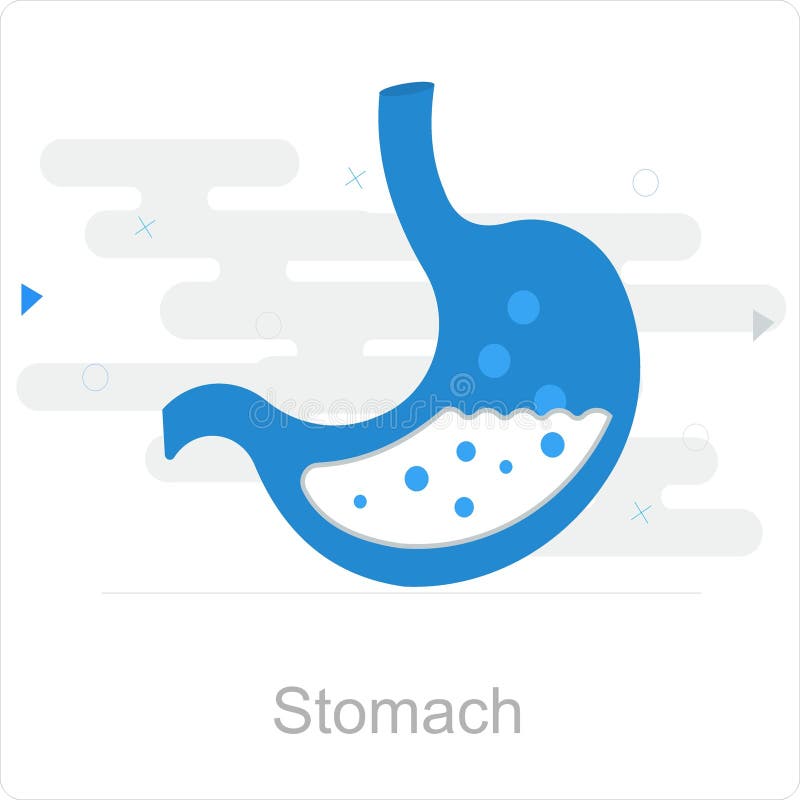 Stomach stock illustration. Illustration of digestion - 340612978