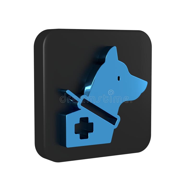 Blue Guide Dog Icon Isolated on Transparent Background. Black Square ...