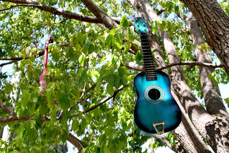 The Blue Guitar Hanging in a Tree Up High Stock Photo - Image of decor ...