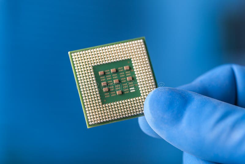 Blue Hands Scientist Holds Processor Stock Photo - Image of hands ...