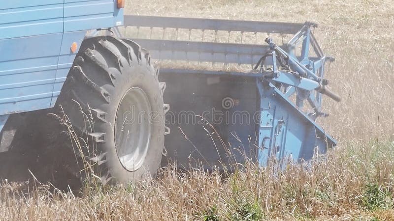 Blue Harvester Harvesting Cornfield Stock Video - Video of countryside ...