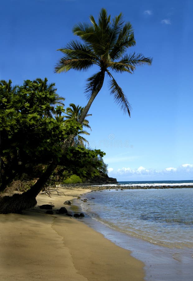 Blue Hawaii stock image. Image of tropical, lovely, ocean - 3097527