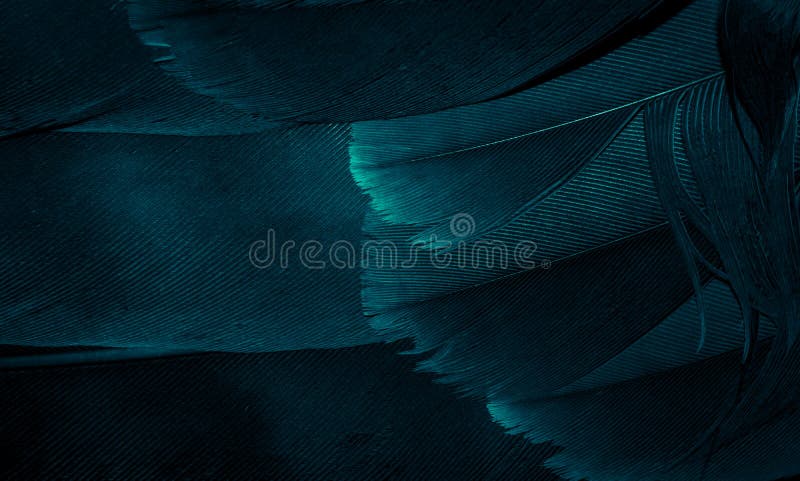 Blue Hawk Feathers with Visible Detail. Background or Texture Stock ...