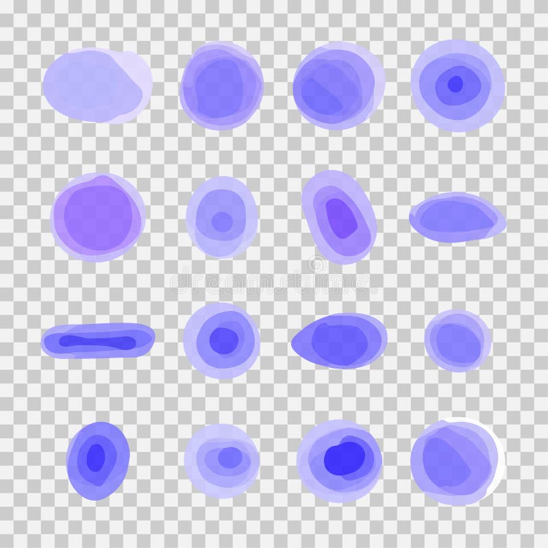 Blue Highlight Marker Circle Frame Set Vector Illustration. Stock ...