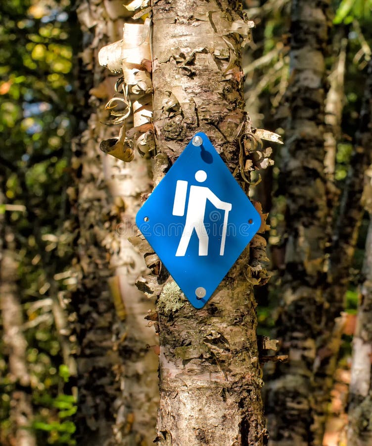 Hiking sign on a moss rock stock photo. Image of rock - 36800550