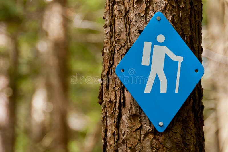 Plastic Trail Markers