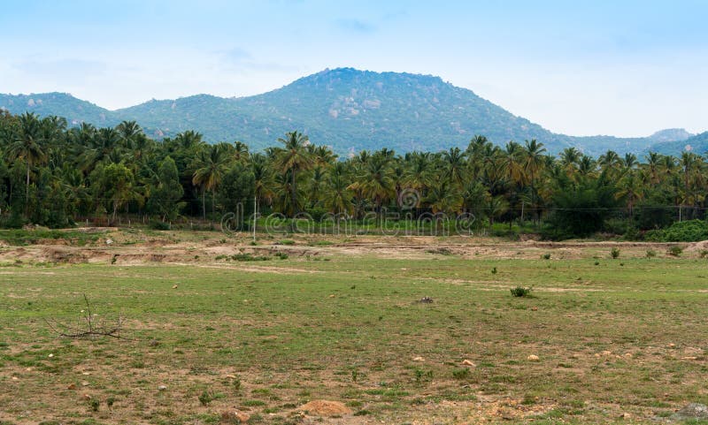 Greenforeground Stock Photos - Free & Royalty-Free Stock Photos from ...