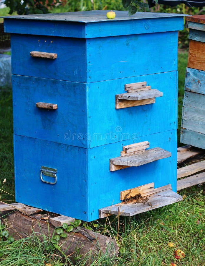 Worker Bees Carry Nectar and Pollen To the Hive Stock Image - Image of ...