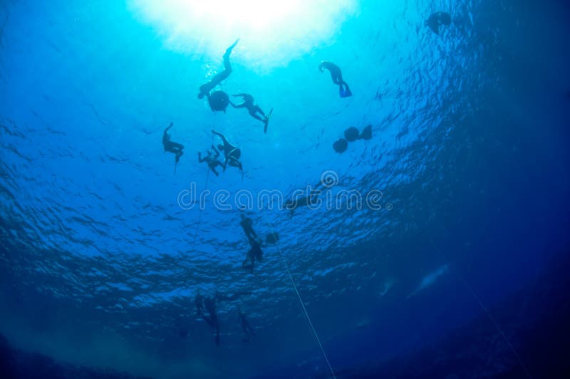 Freediving Training in the Depth of Blue Hole Stock Image - Image of ...