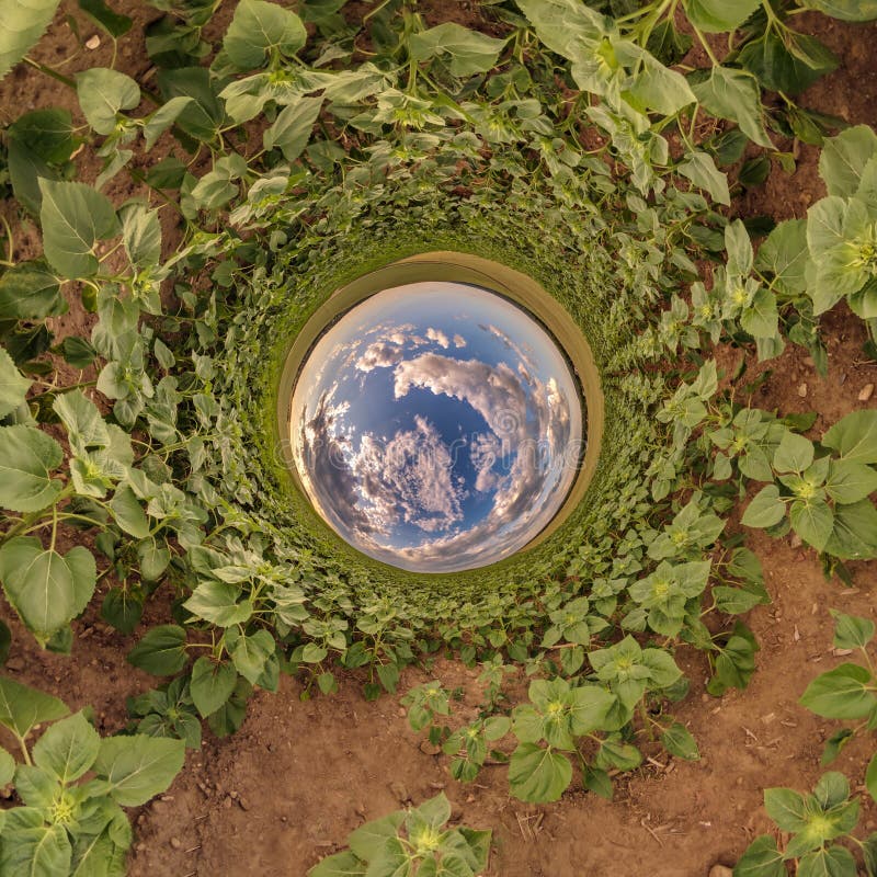 Blue Hole Sphere Little Planet Inside Green Grass Round Frame ...