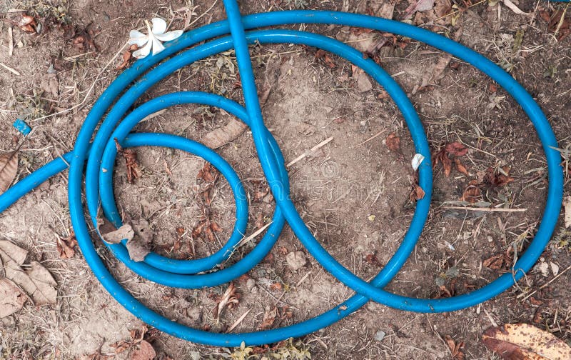 Blue Hose on the Ground in the Garden. Stock Image - Image of green ...