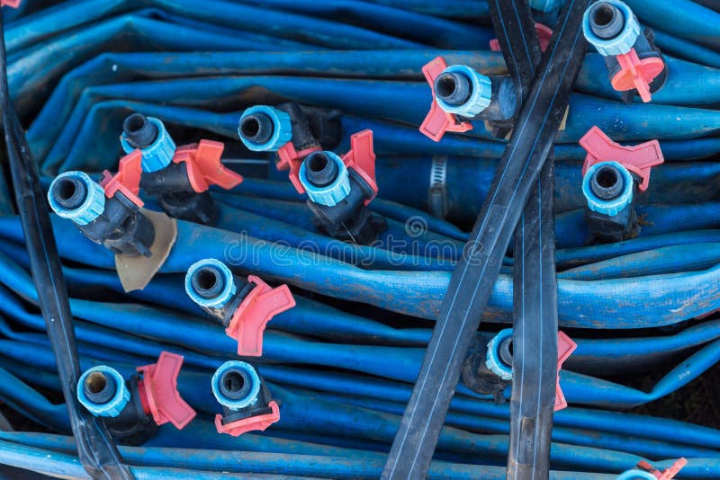 Blue Hoses of the Drip Irrigation System. Stock Image - Image of home ...