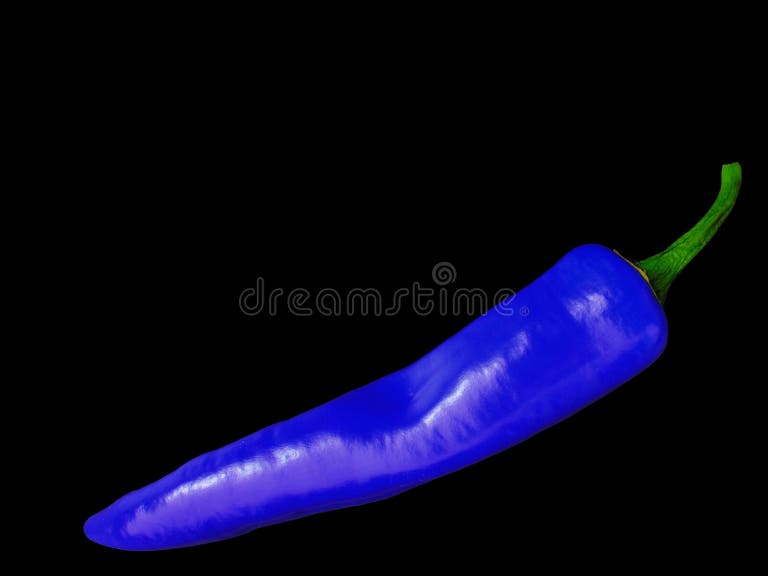 Blue Hot Chili stock photo. Image of fresh, healthy, closeup - 94970
