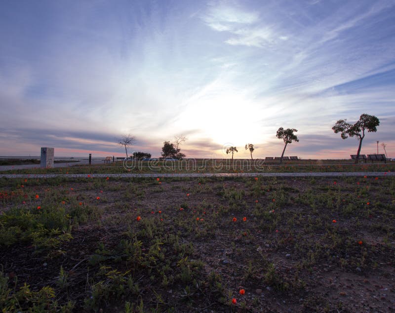 Blue hour scenery stock image. Image of algarve, places - 37499123