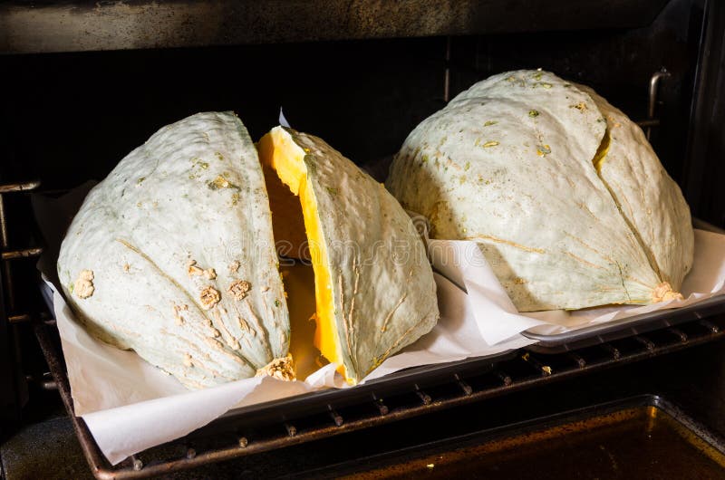 Blue Hubbard Squash Being Prepared Stock Image - Image of fresh ...