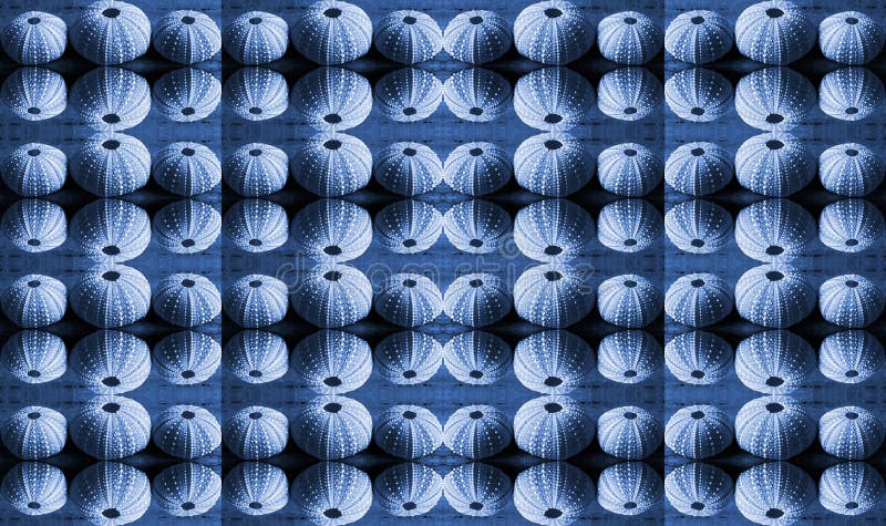 BLUE HUED WALLPAPER with SHELL PATTERN Stock Illustration ...