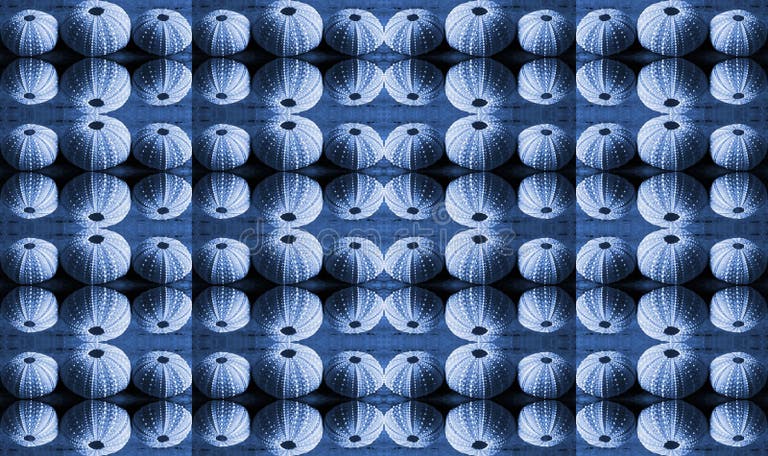 BLUE HUED WALLPAPER with SHELL PATTERN Stock Illustration ...