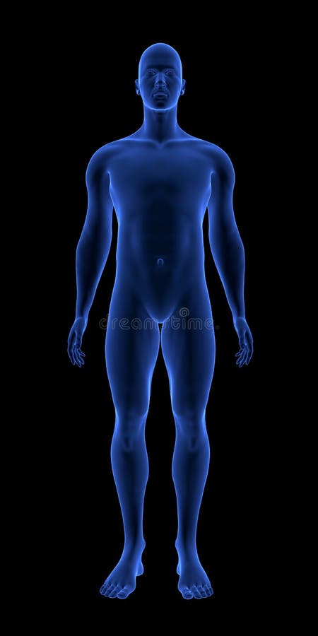 Blue Human Anatomy Body 3D Scan Render on Black Background Stock ...