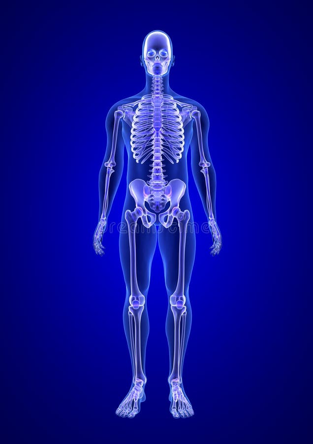 Blue Human Anatomy Body 3D Scan Render on Black Background Stock ...