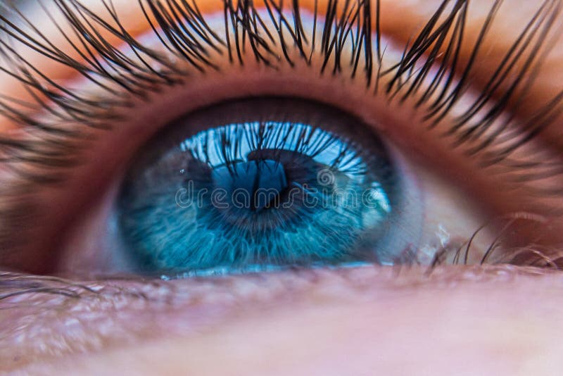 Blue Human Eye in a Contact Lens Looking Up Close Up. Contact Lens ...