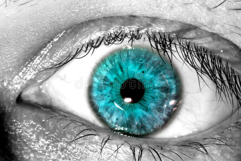 25,007 Human Eye Blue Photos - Free & Royalty-Free Stock Photos from ...