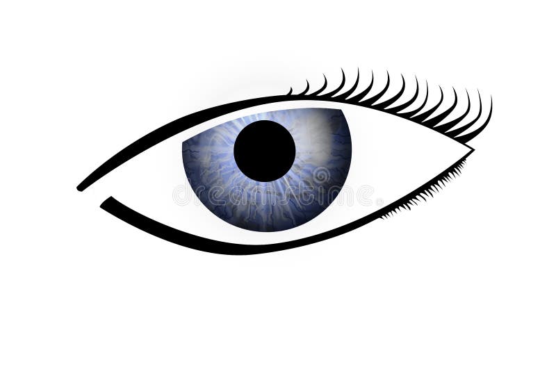 Blue Human Eye stock illustration. Illustration of outline - 66798194
