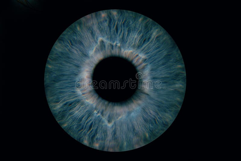 25,391 Blue Pupil Stock Photos - Free & Royalty-Free Stock Photos from ...