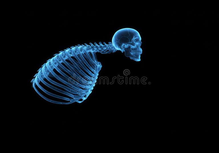 Blue Human Skeleton 3D Rendering on Black Background Stock Illustration ...