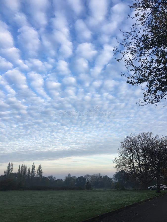 Blue humid stock image. Image of clouds, colours, trees - 201824871
