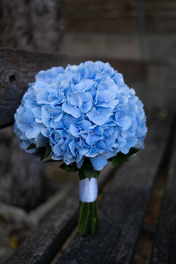 Blue Hydrangea Wedding Bouquet. Bridal Bouquet. Wedding. Stock Image ...