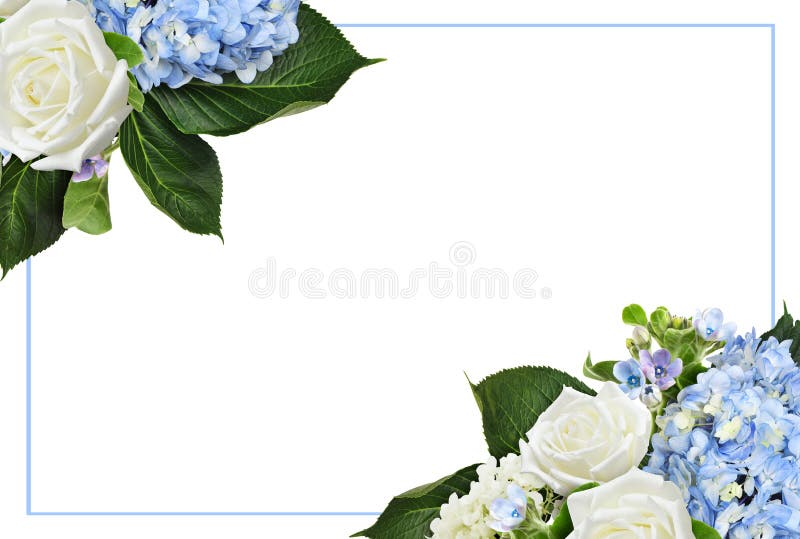 Blue Hydrangea, White Rose Flowers in a Floral Corner Arrangements with ...