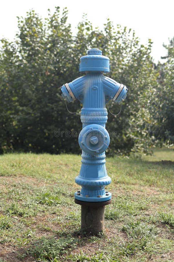 Blue hydrant stock photo. Image of chain, plug, fire - 29725262