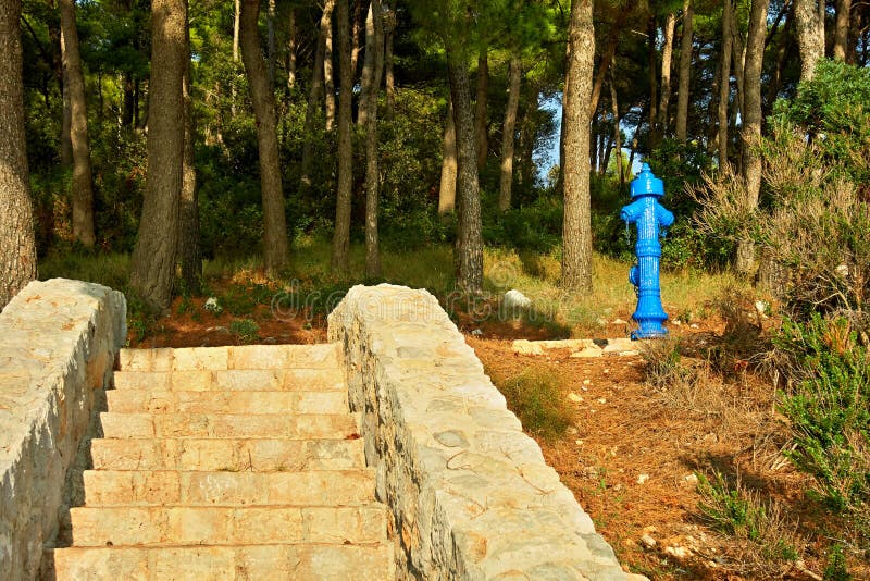 Blue hydrant stock photo. Image of fire, outdoor, chain - 117167346