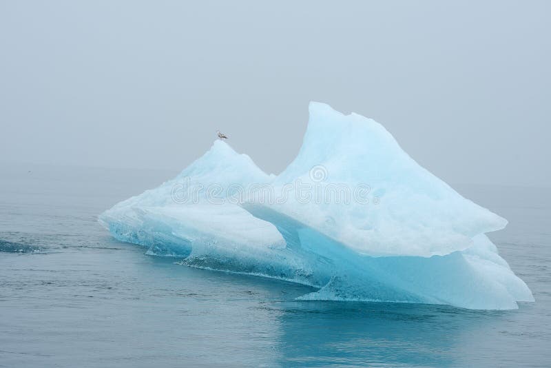 Blue iceberg stock image. Image of deep, coast, iceberg - 43720569