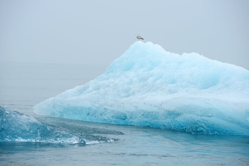Blue iceberg stock photo. Image of arctic, blue, glacier - 44408694