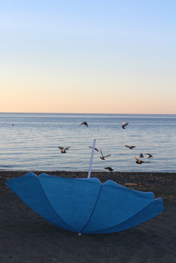 Blue Inverted Umbrella on the Beach Stock Photo - Image of lying ...