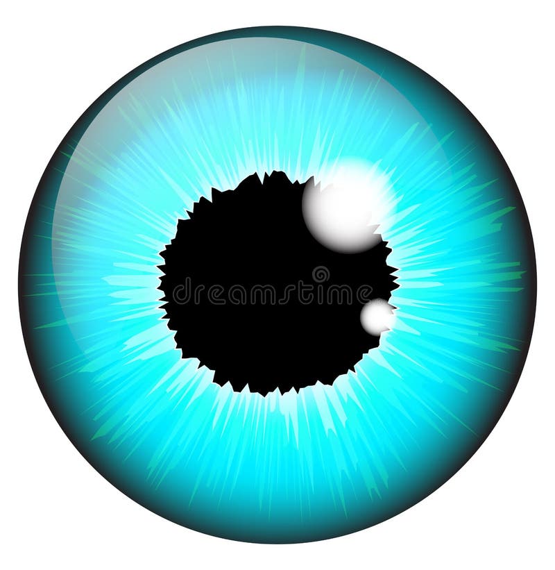 Blue Iris Eye Realistic Vector Set Design Isolated on White Bac Stock ...