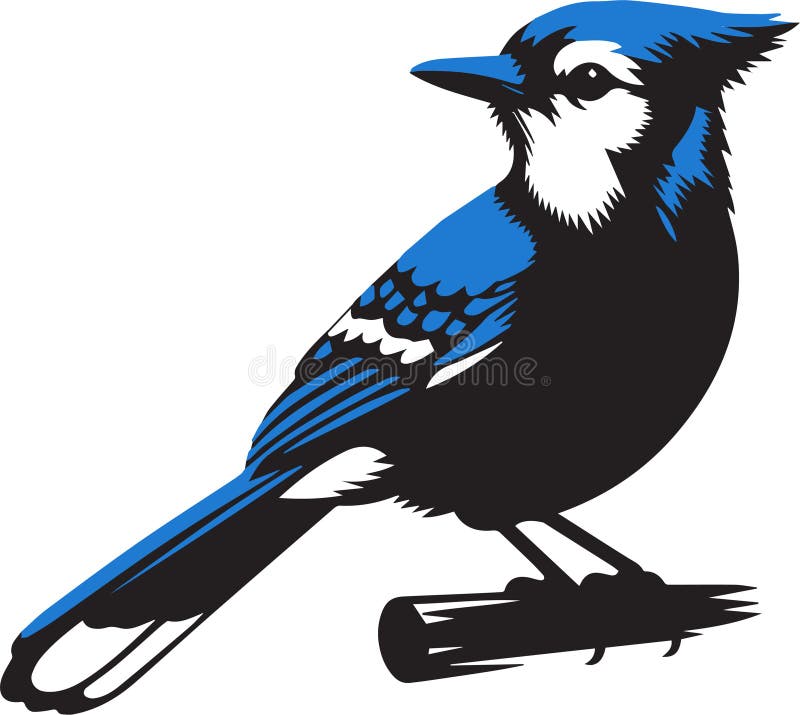 Blue Jay Vector Stock Illustrations – 674 Blue Jay Vector Stock ...