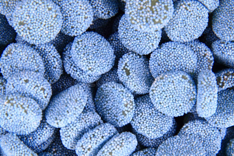 Blue Jelly Gumdrop Sweet Background Stock Photo - Image of candy ...