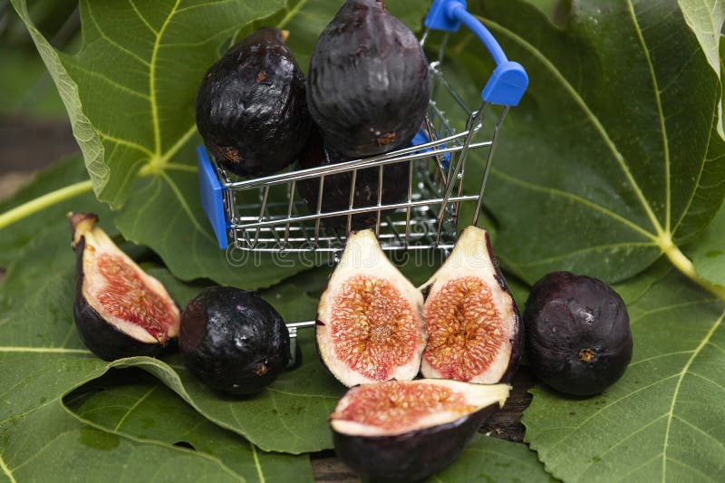 Juicy Figs Minimalism on a Light Background. Pulp of Fig Slices Close ...