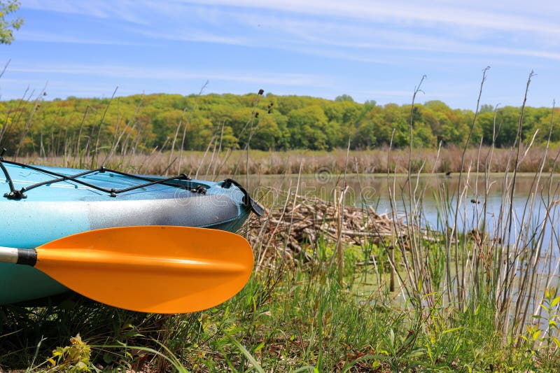 Blue Kayak Rests on the Shore of a River Next To a Beaver Lodge Stock ...