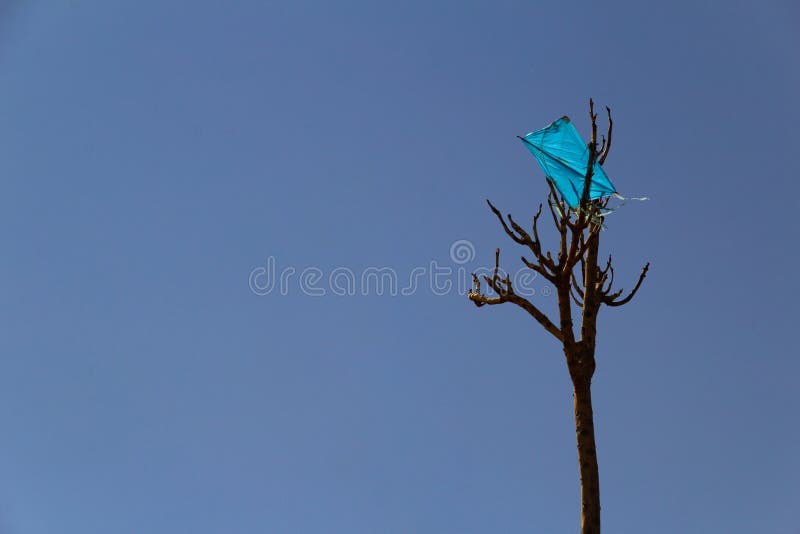 A Blue Kite Caught in the Branches of a Dry Tree. Stock Photo - Image ...