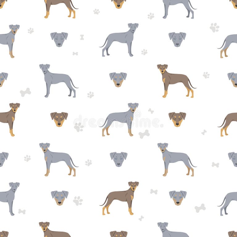 Blue Lacy Seamless Pattern. Different Coat Colors and Poses Set Stock ...