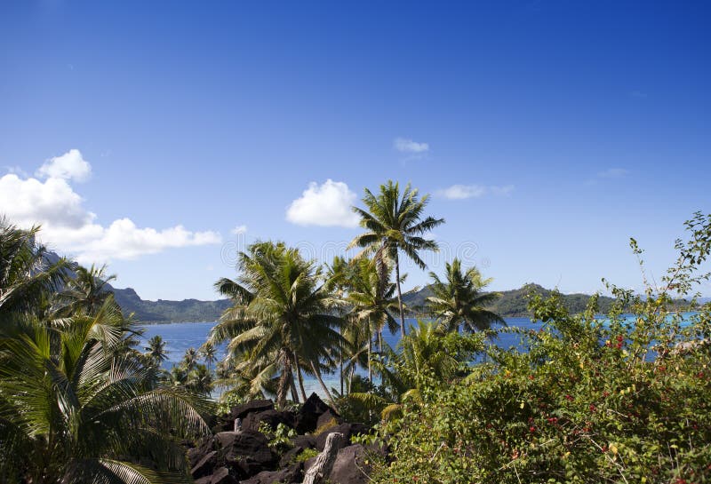 Blue Lagoon of Island Bora Bora, Polynesia. Mountains, the Sea, Palm ...