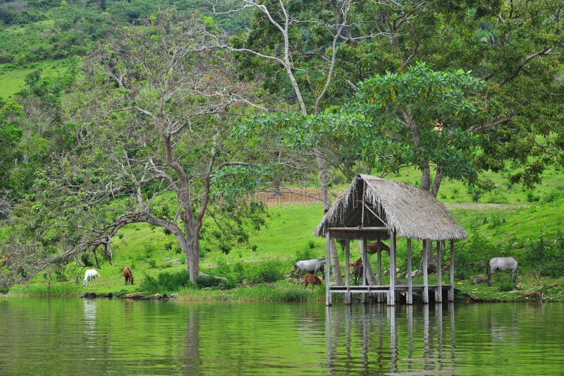 Blue Lagoon in Tarapoto Peru Stock Image - Image of forest, blue: 291659413