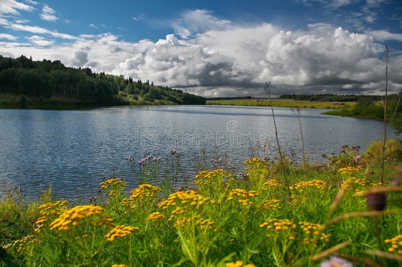 Fnd Trees Stock Photos - Free & Royalty-Free Stock Photos from Dreamstime