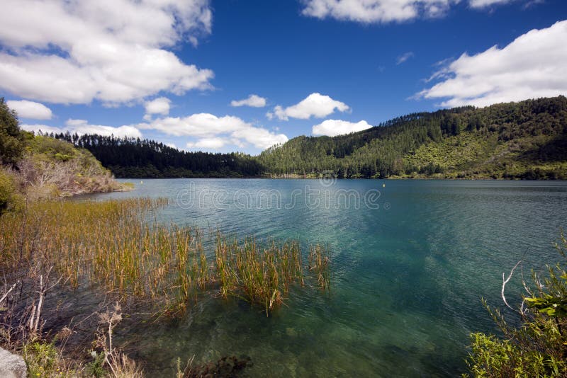 The Blue Lake, North Island, NZ Stock Image - Image of cloud, trees ...