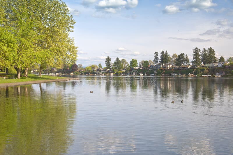 Golden Autumn in Blue Lake Park Oregon. Stock Photo - Image of natural ...
