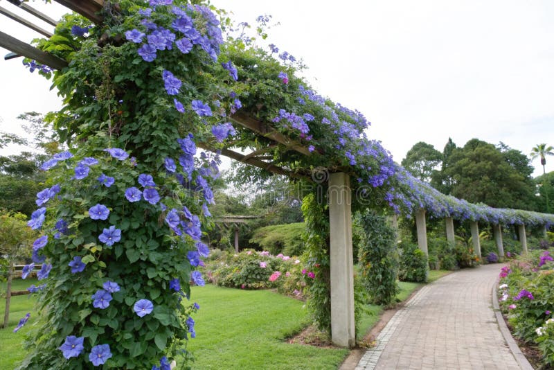 Vibrant Blue Laurel Clock Vine Stock Illustrations – 2 Vibrant Blue ...