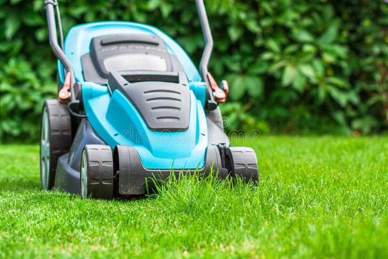 Blue Lawn Mower on Green Grass Cut the Grass Stock Image - Image of ...
